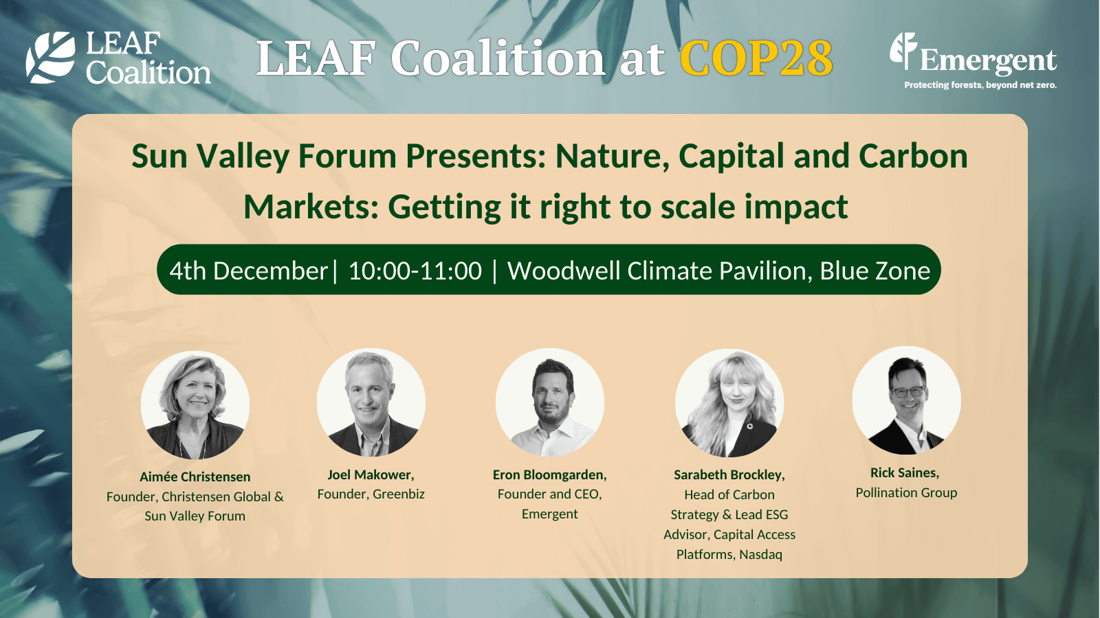 The LEAF Coalition at COP28